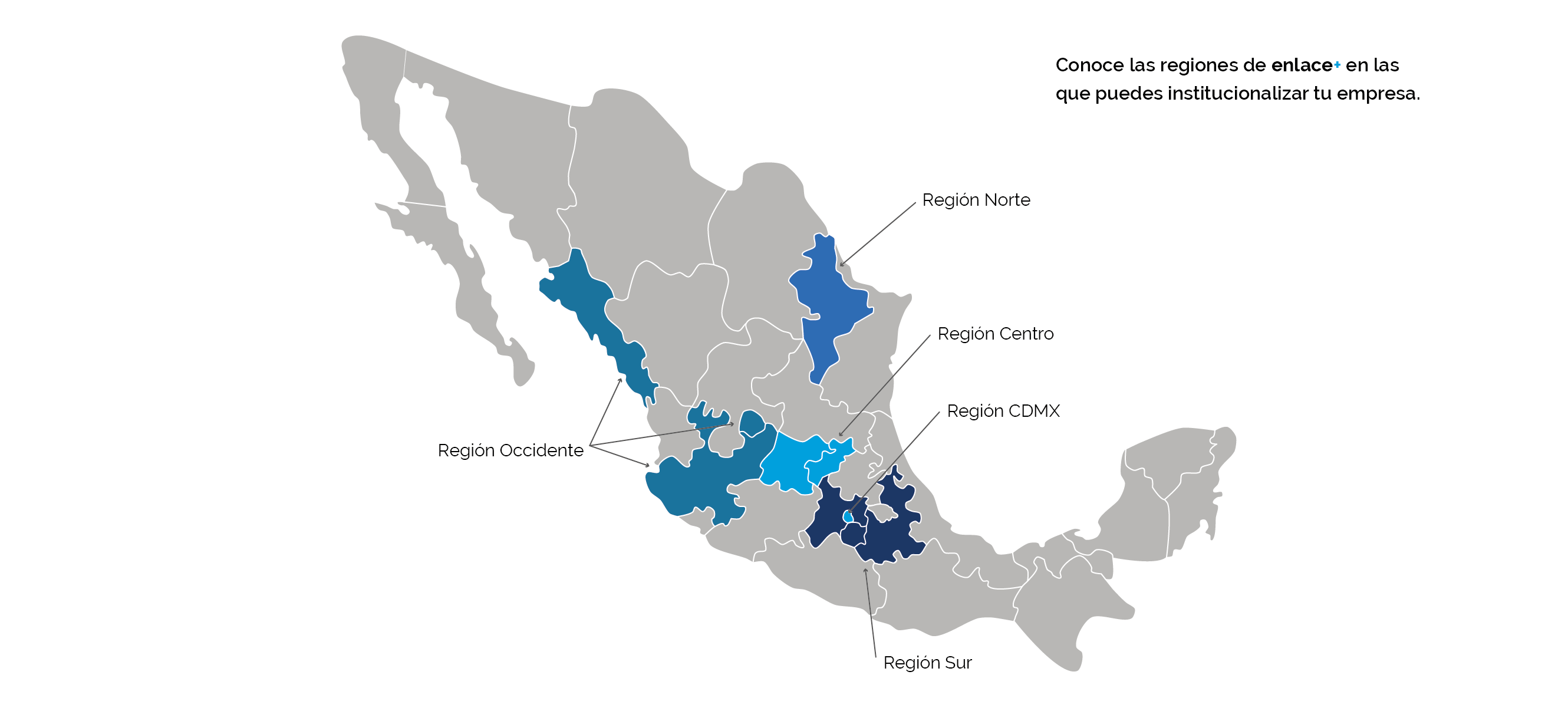 enlace+ – enlace